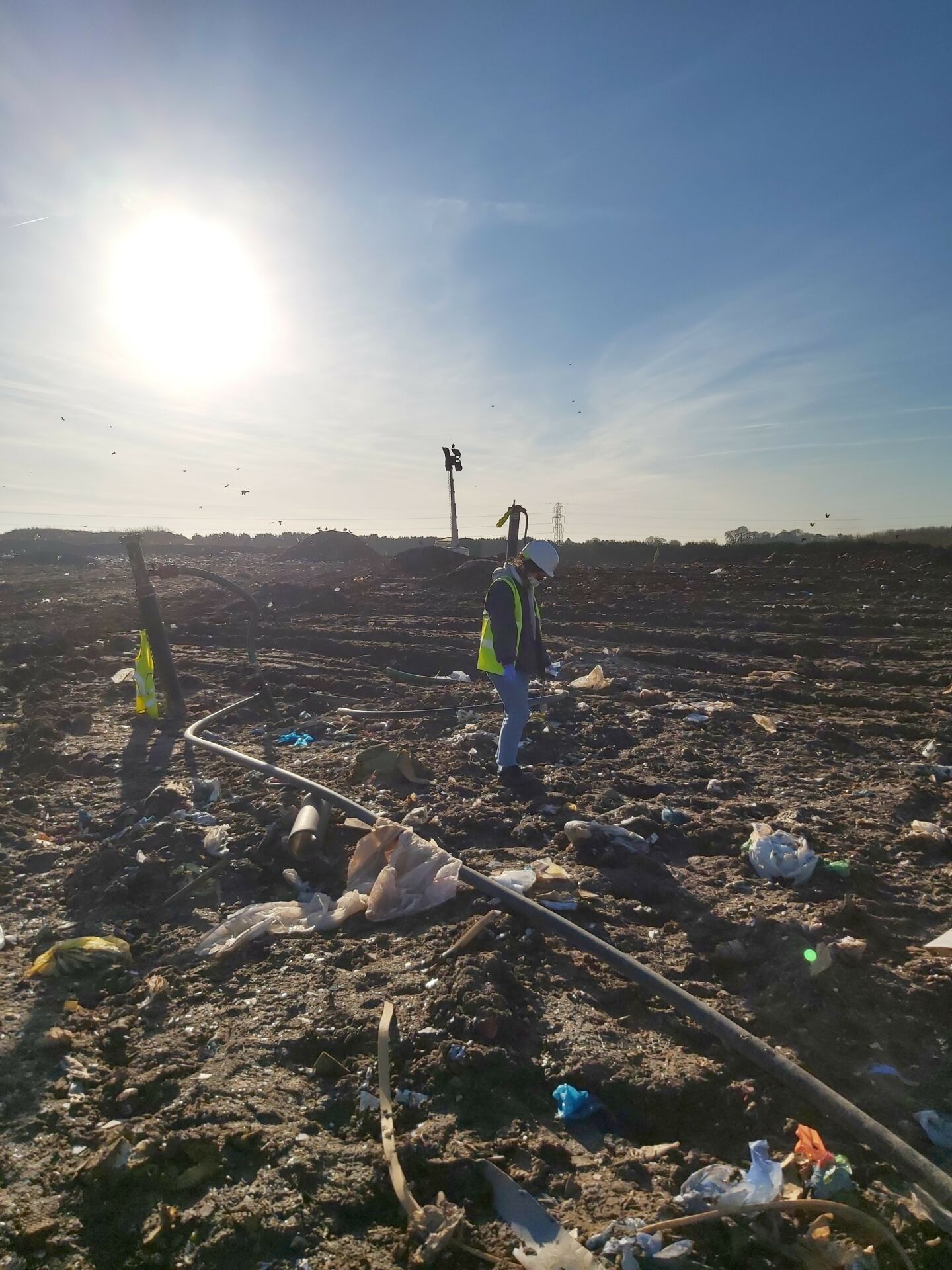 Biodegradation Of Plastic By Novel Bacterial Strains - NBIC